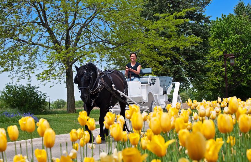 Horseback Riding at Grand Geneva | Lake Geneva, Wisconsin